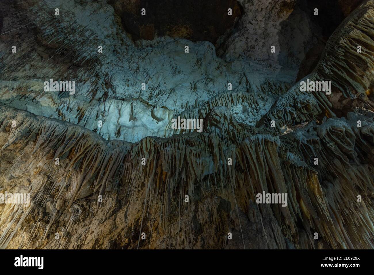 Marakoopa cave in Tasmania, Australia Stock Photo - Alamy