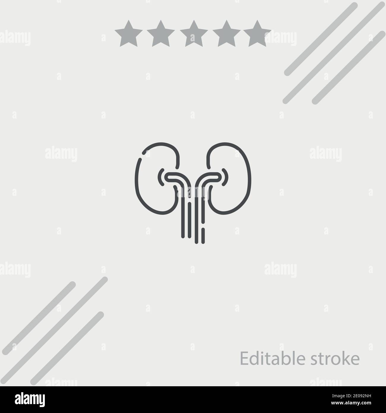 kidney vector icon modern simple vector illustration Stock Vector Image ...