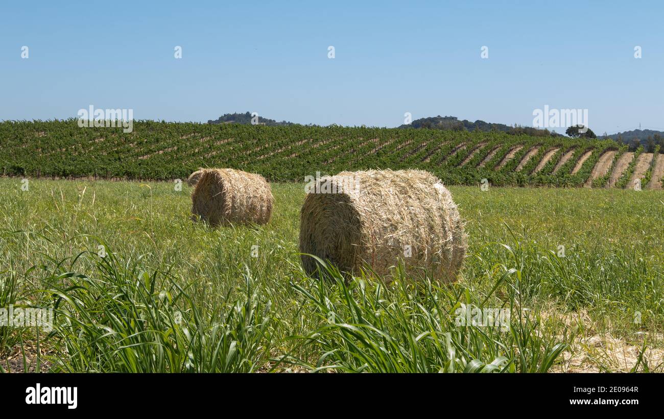 Farmland scenic hi-res stock photography and images - Alamy