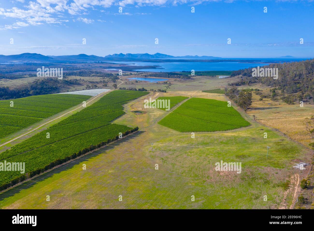 Aerial view of vineyards at Devil's Corner in Tasmania, Australia Stock ...