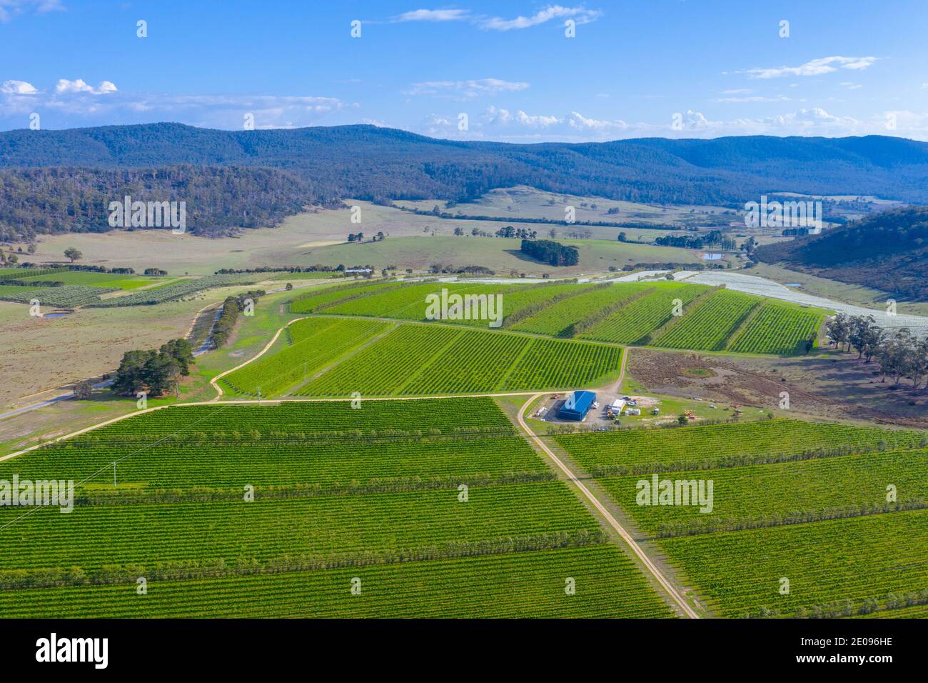 Aerial view of vineyards at Devil's Corner in Tasmania, Australia Stock ...