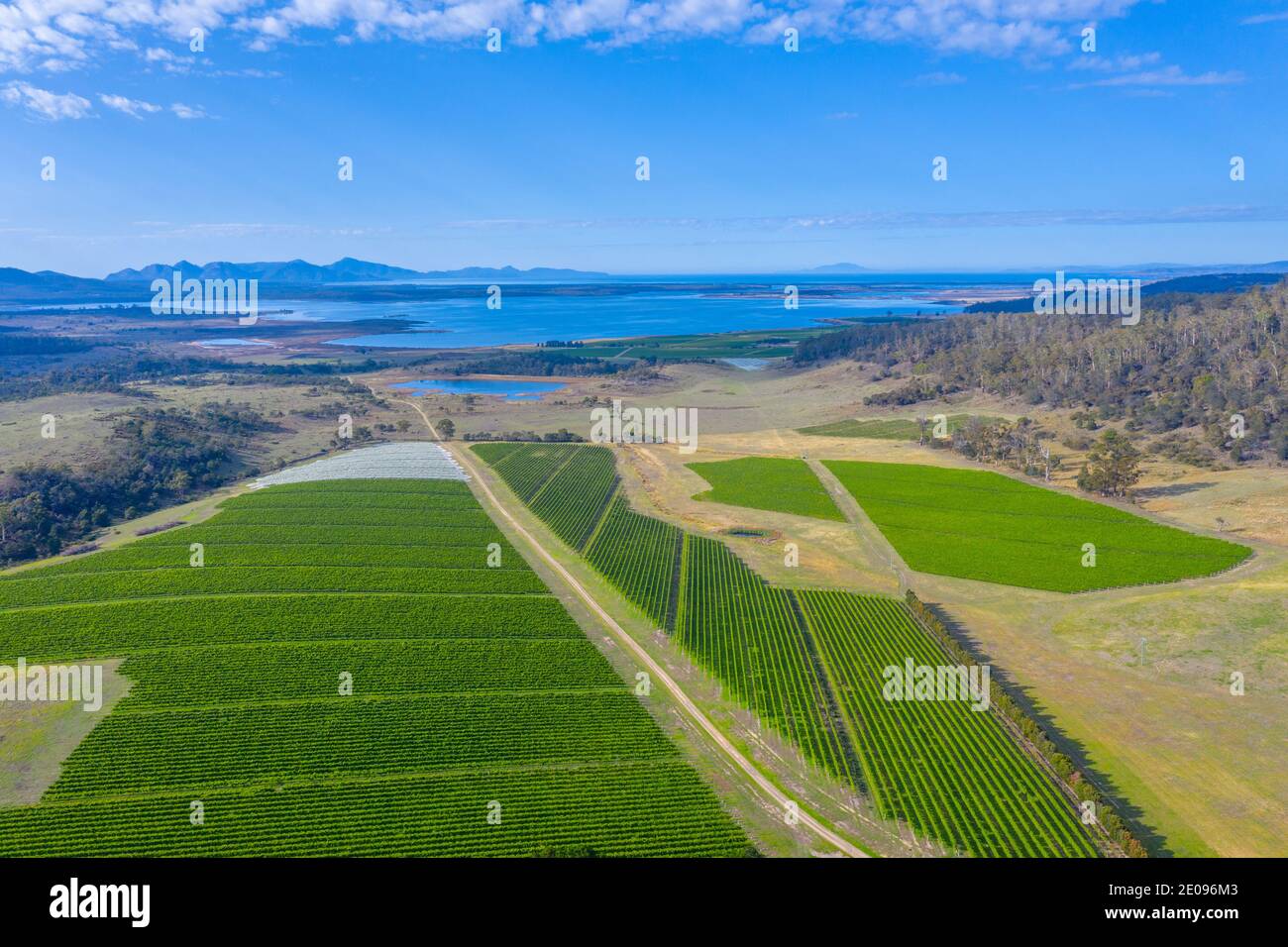 East coast tasmania winery hi-res stock photography and images - Alamy