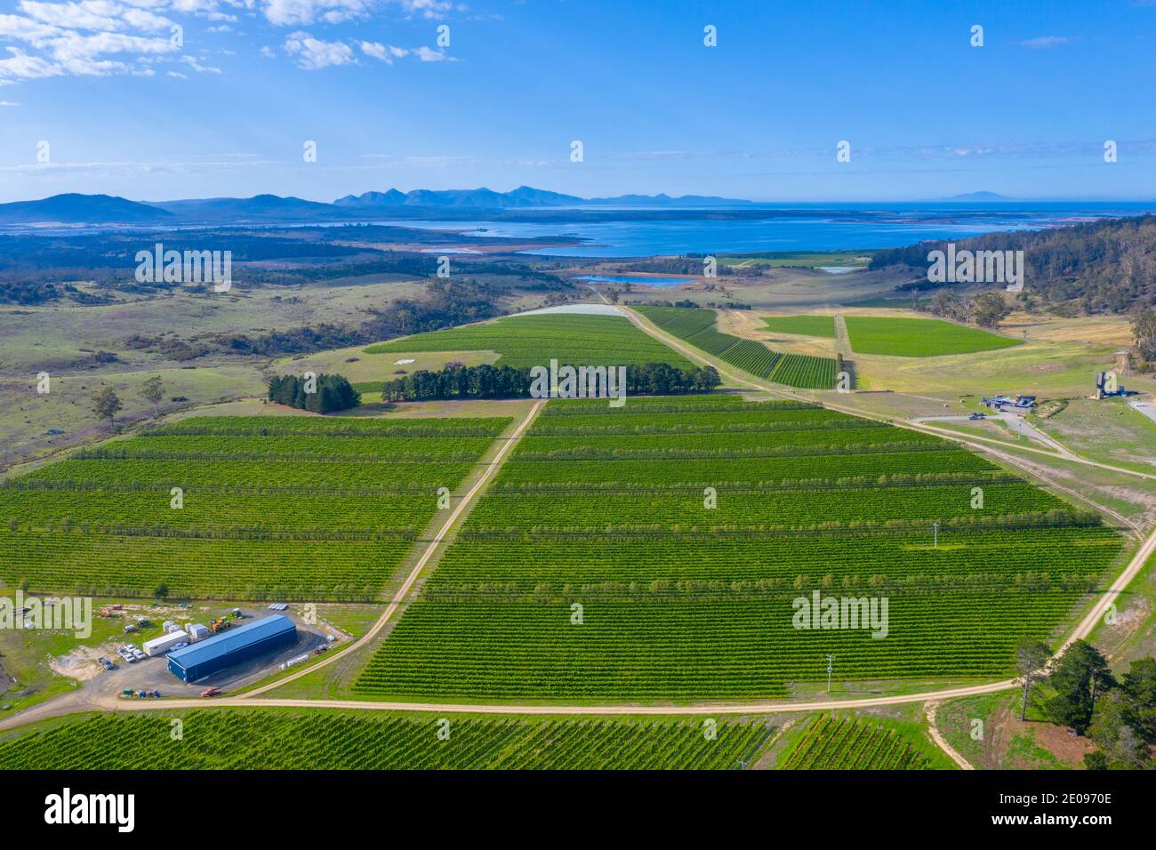 Devils corner vineyard hi-res stock photography and images - Alamy