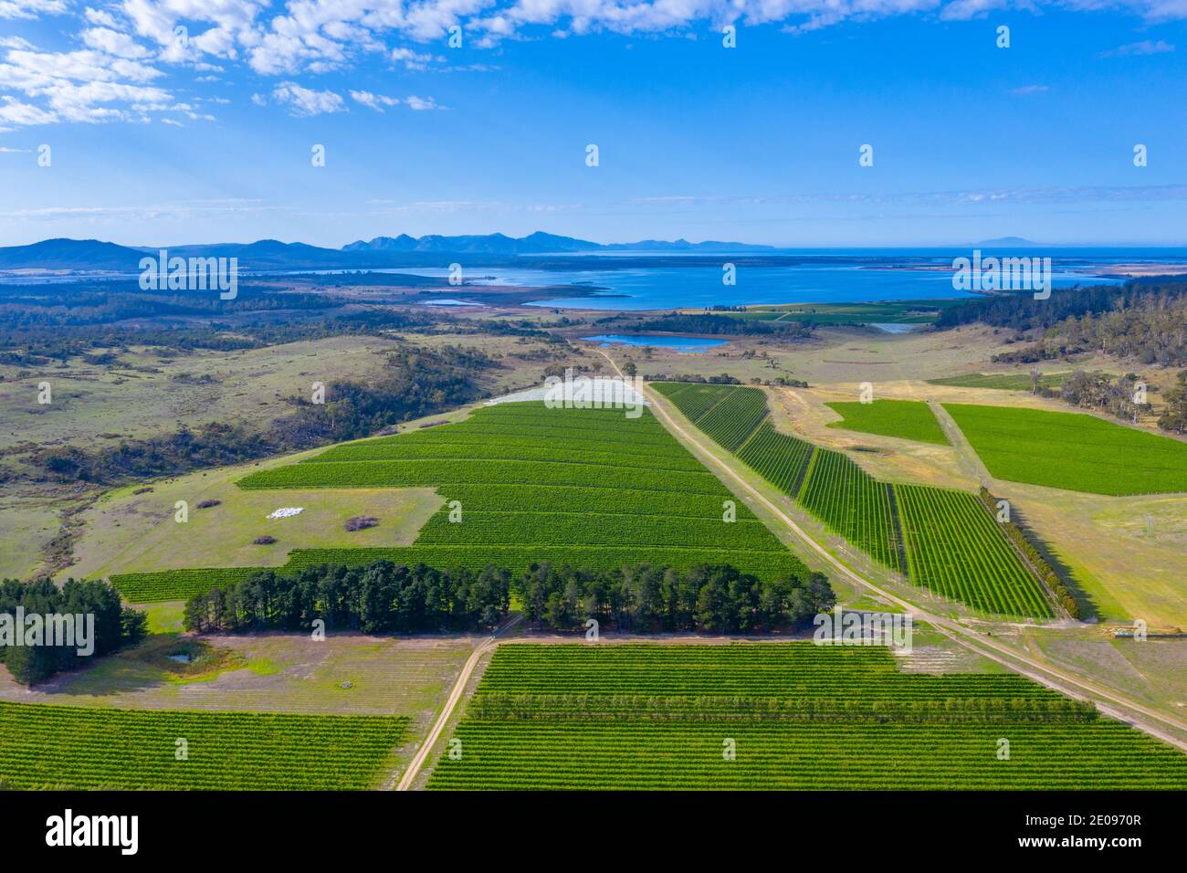 Aerial view of vineyards at Devil's Corner in Tasmania, Australia Stock ...