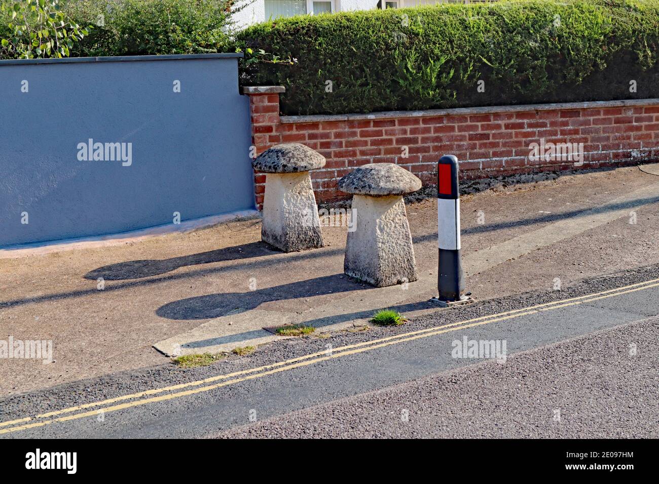 Pavement mushroom uk hi-res stock photography and images - Alamy