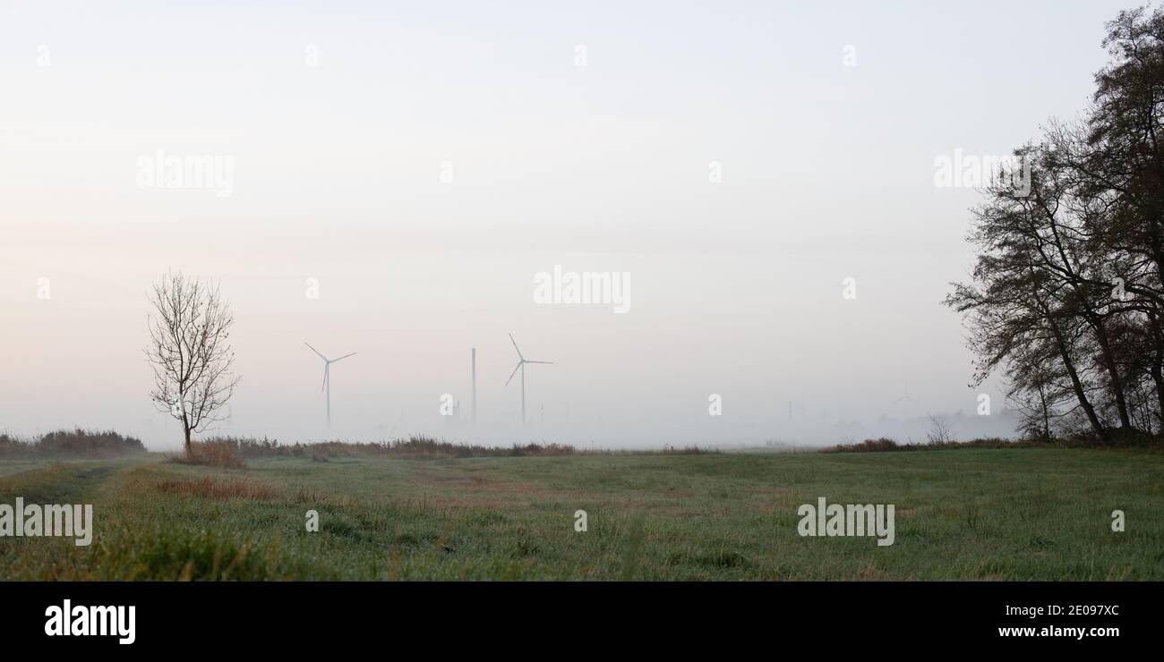 misty morning in an agricultural landscape with wind turbines, rural ...