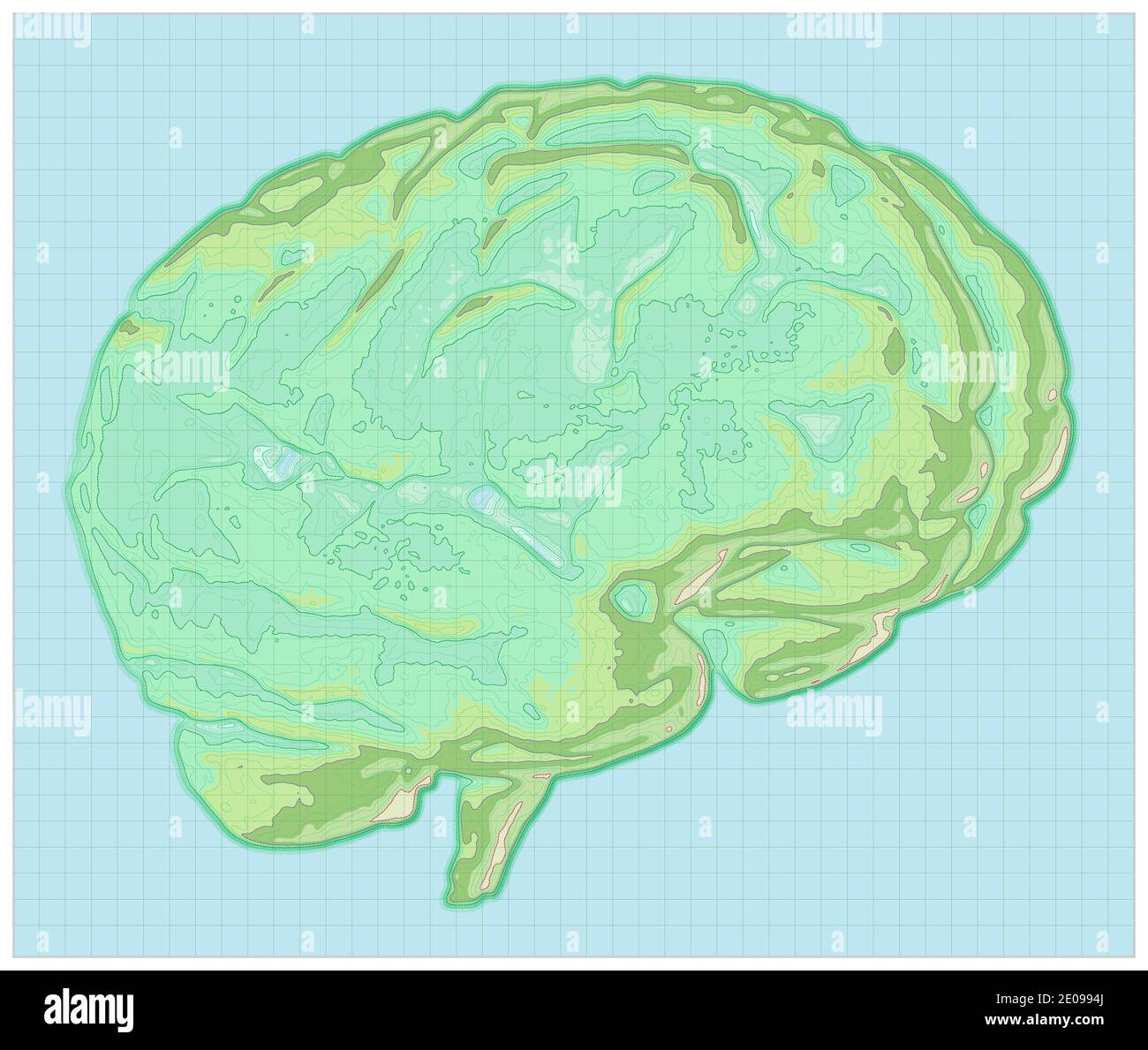 Geographic map of the brain, reworking of the human brain in the form ...