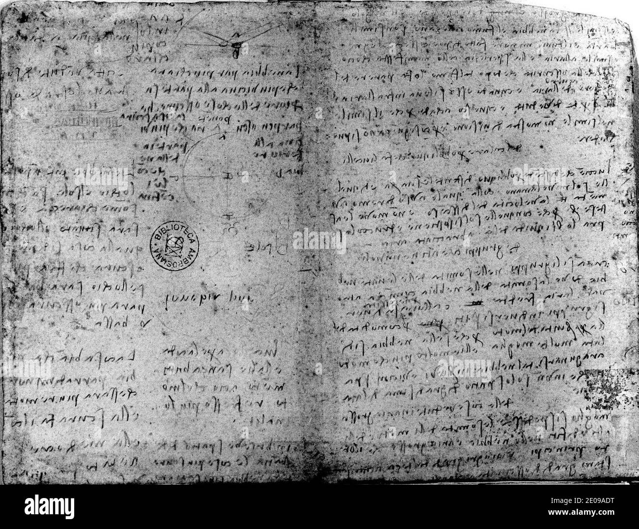 Leonardo da Vinci - Autograph Text Concerning Landscapes, 364 Stock ...