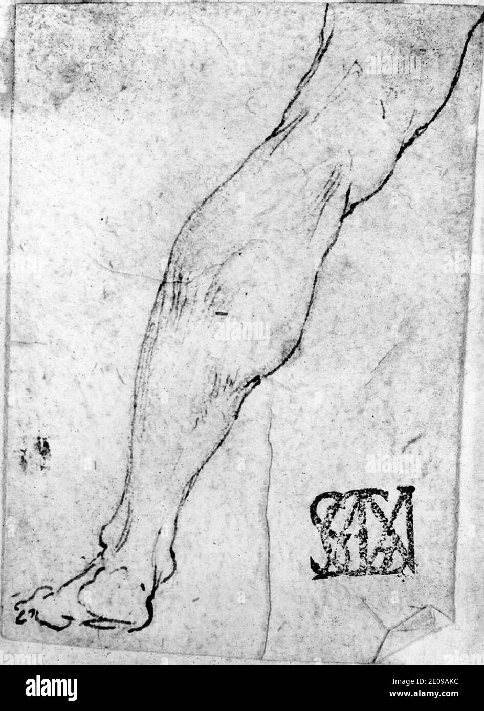 Left leg hi-res stock photography and images - Alamy