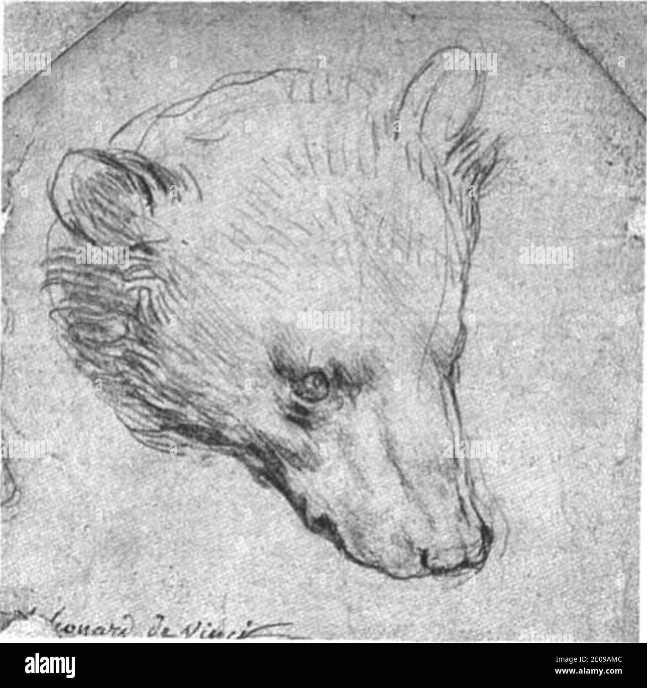 Leonardo da Vinci - Master Draftsman, Fig. 148 Stock Photo - Alamy