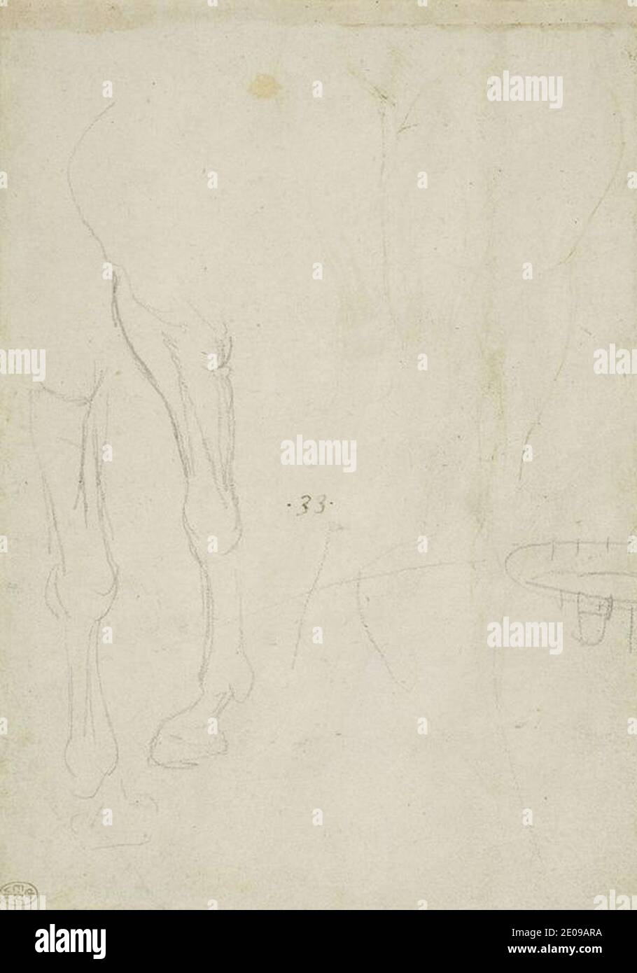 Leonardo da Vinci - Horses' legs c.1490 Stock Photo - Alamy