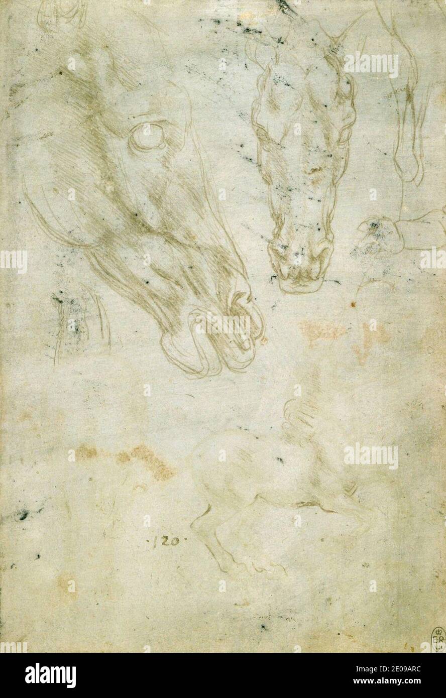 Leonardo da Vinci - Studies of horses and horses' heads c.1490 Stock ...