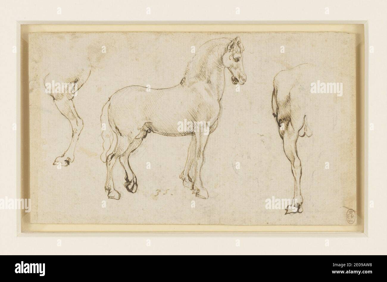 Leonardo da Vinci - Studies of horses c.1478-80 Stock Photo - Alamy