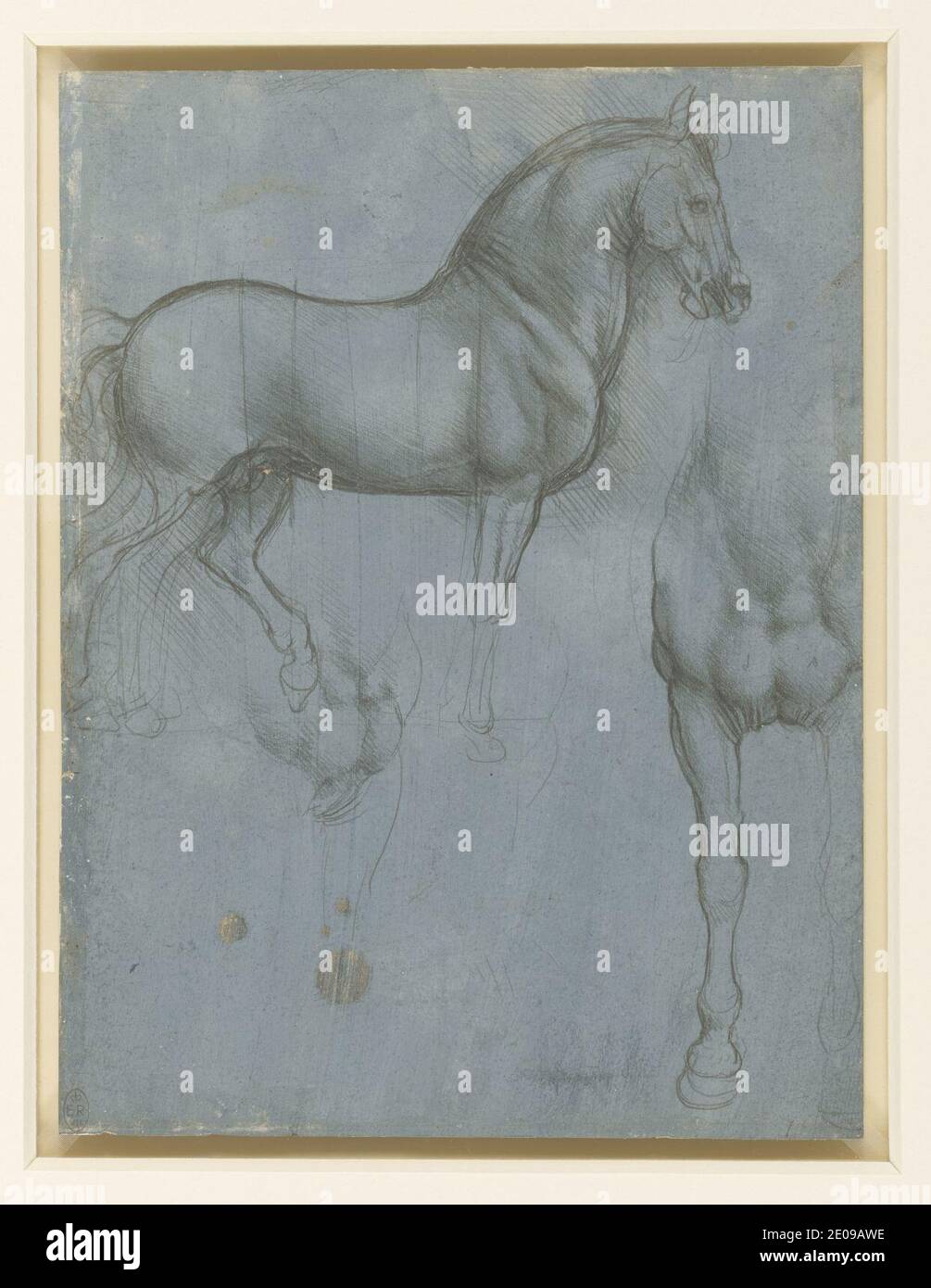 Leonardo da Vinci - Studies of a horse c.1490 Stock Photo - Alamy