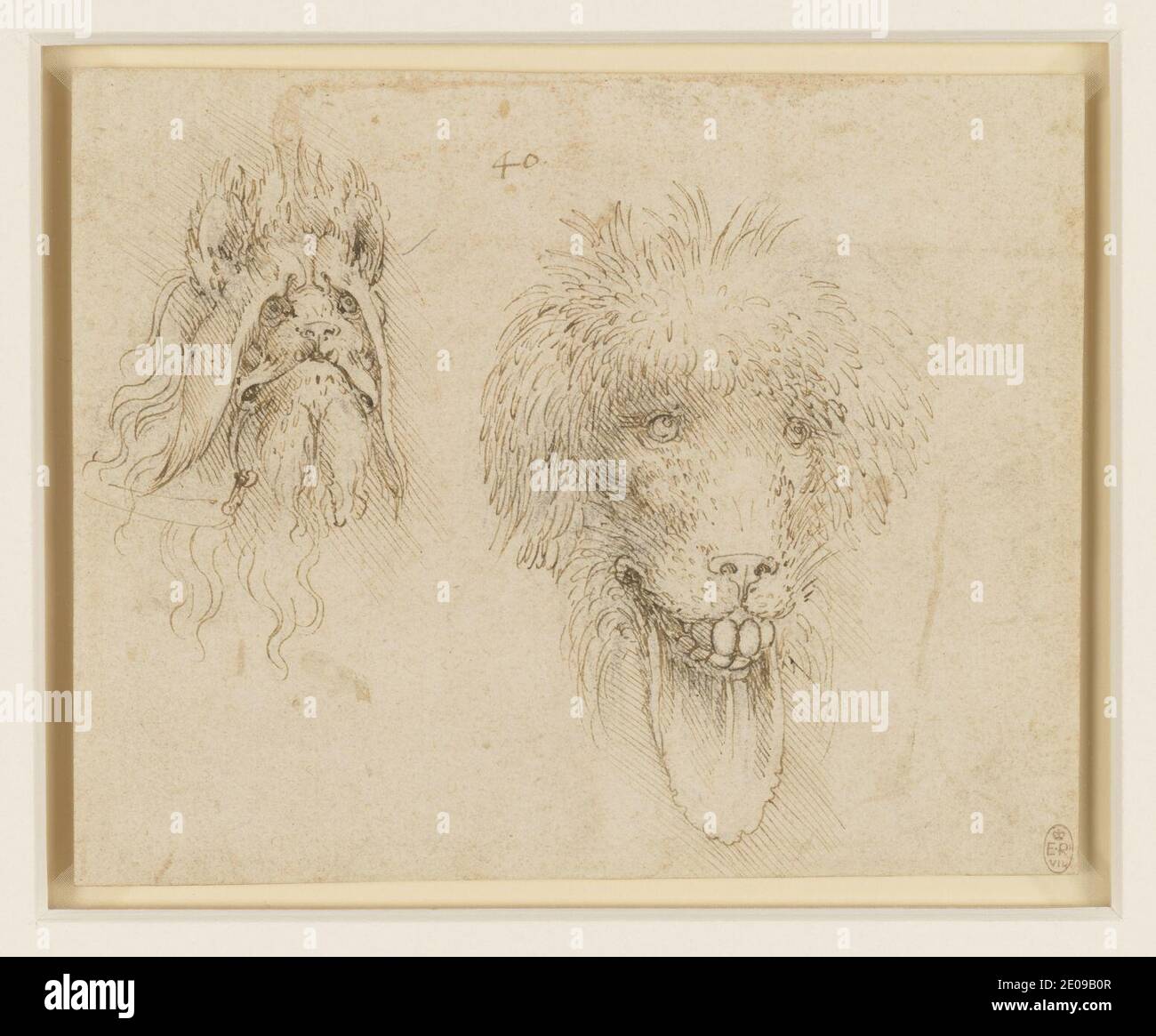 Leonardo da Vinci - Two heads of grotesque animals c.1490-95 Stock ...