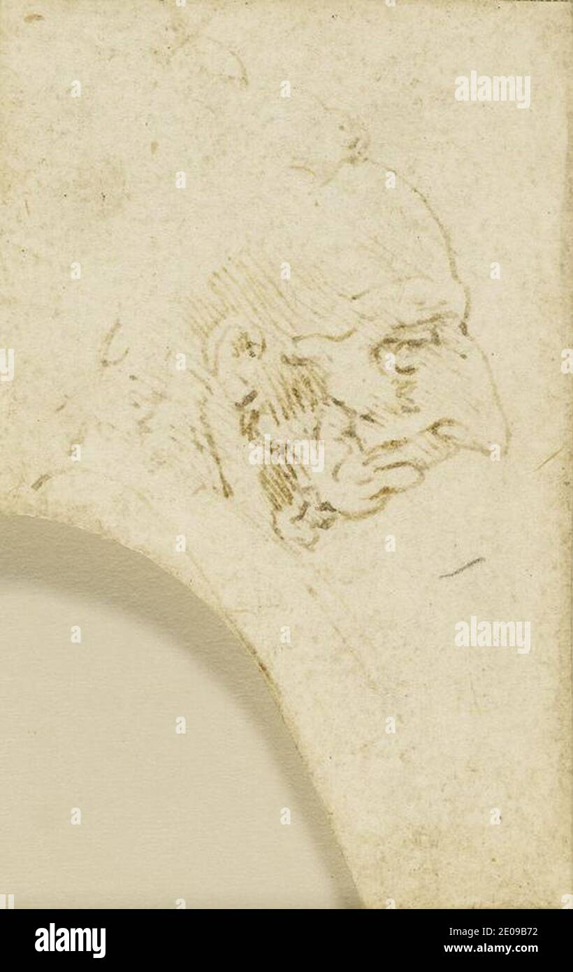 Leonardo da Vinci - The head of a man with large nose, in profile c ...