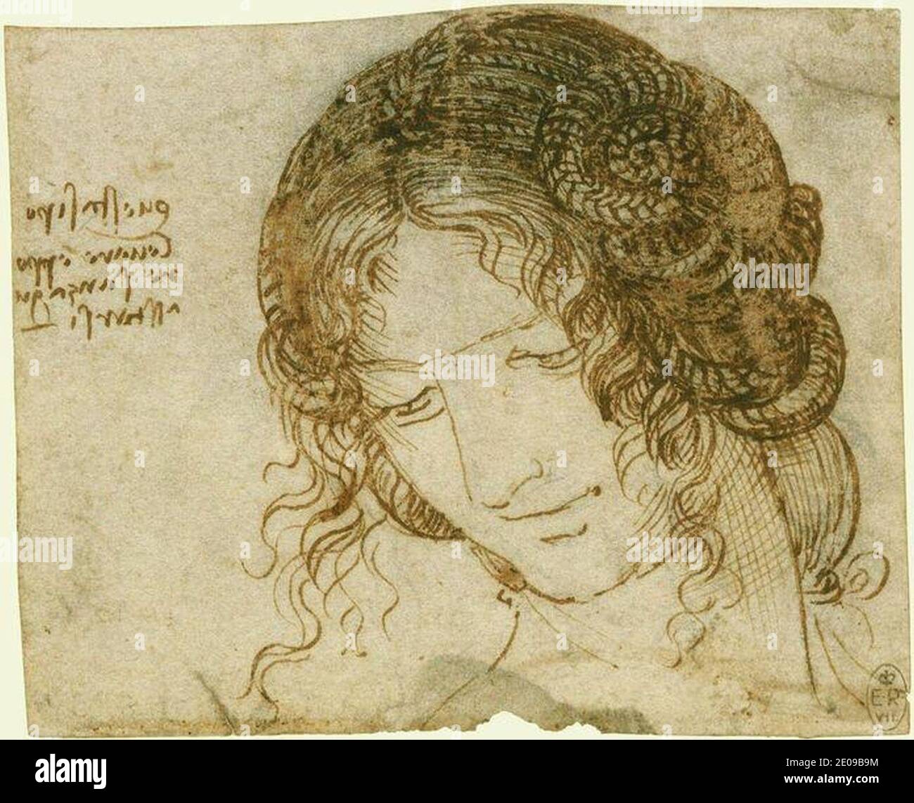 Leonardo da Vinci - The head of Leda c.1505-6 Stock Photo - Alamy