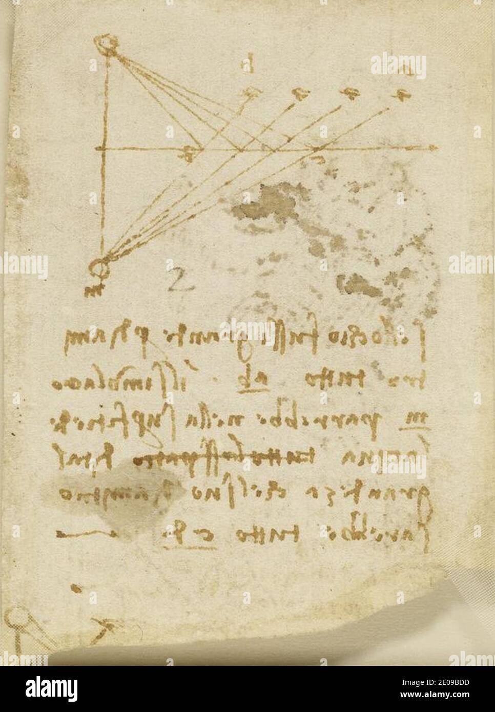 Leonardo da Vinci - Verso Geometrical drawings of lines of sight c.1500 ...