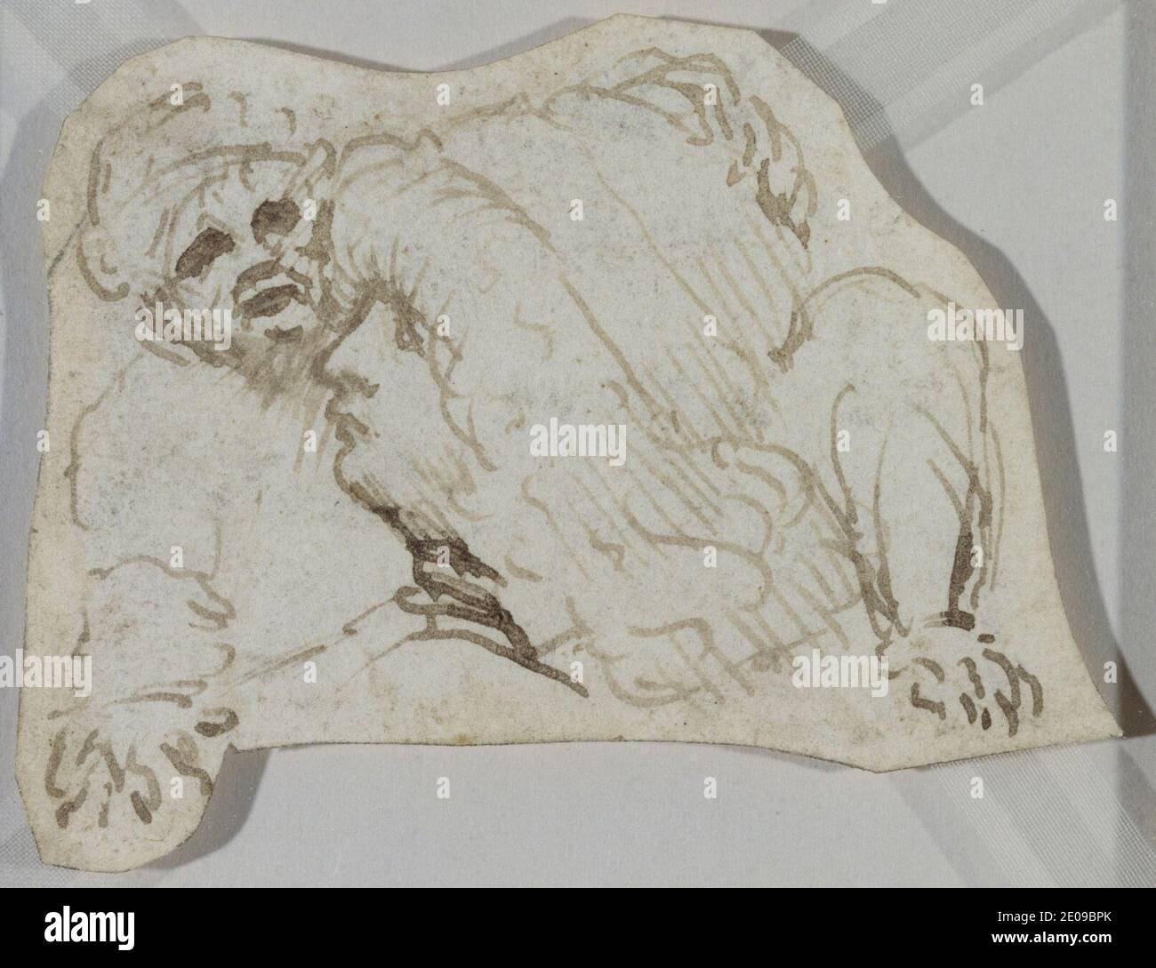 Leonardo da Vinci - Recto The head of a young man in profile, and the ...