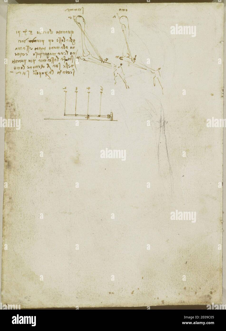 Leonardo da Vinci - Verso The mechanics of the arm in man and monkey c ...
