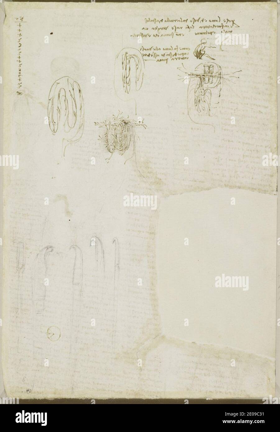 Leonardo da Vinci - Recto Sketches of the intestines, scapels and hooks ...