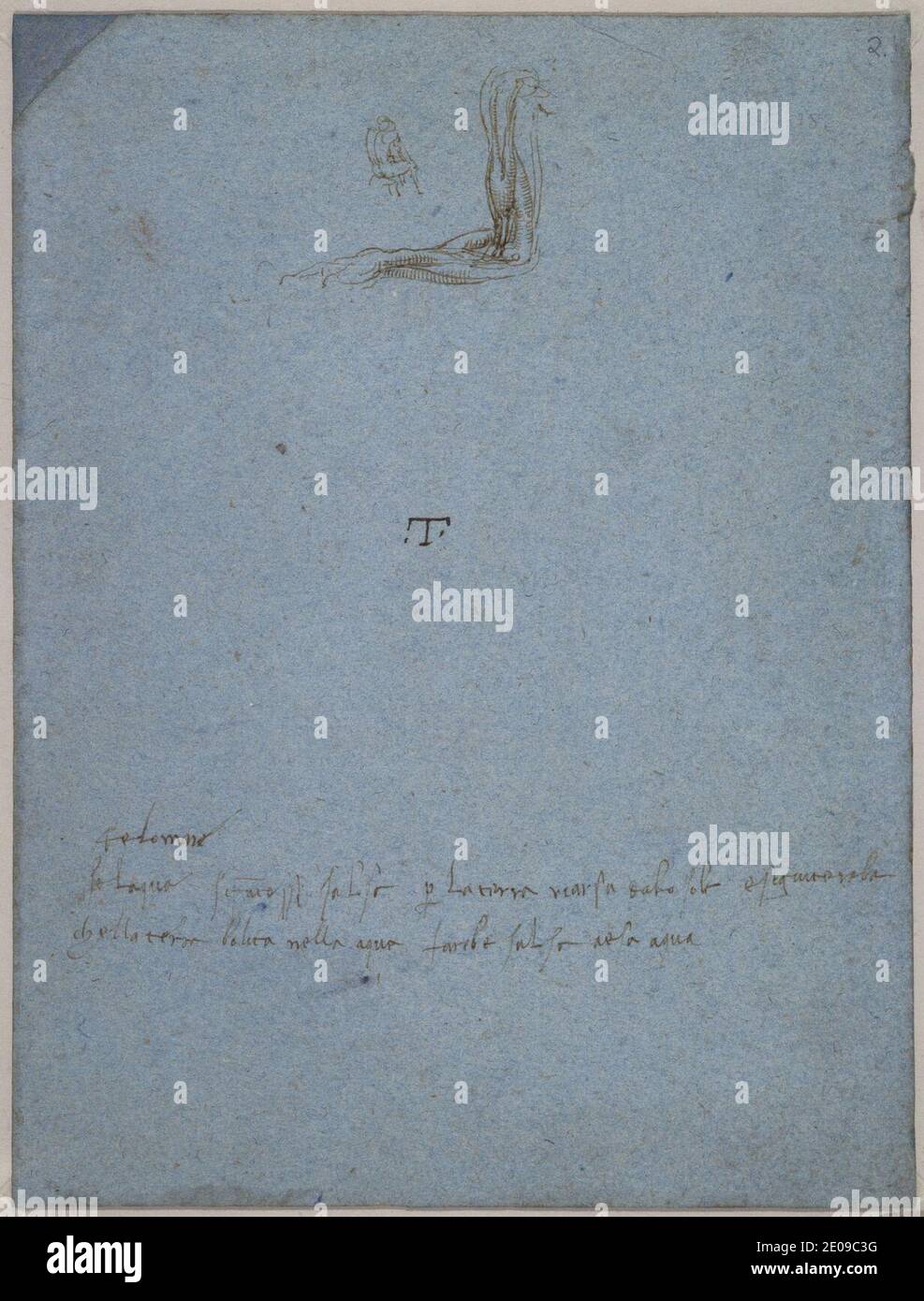 Leonardo da Vinci - A right arm with elbow flexed c. 1510-13 Stock ...