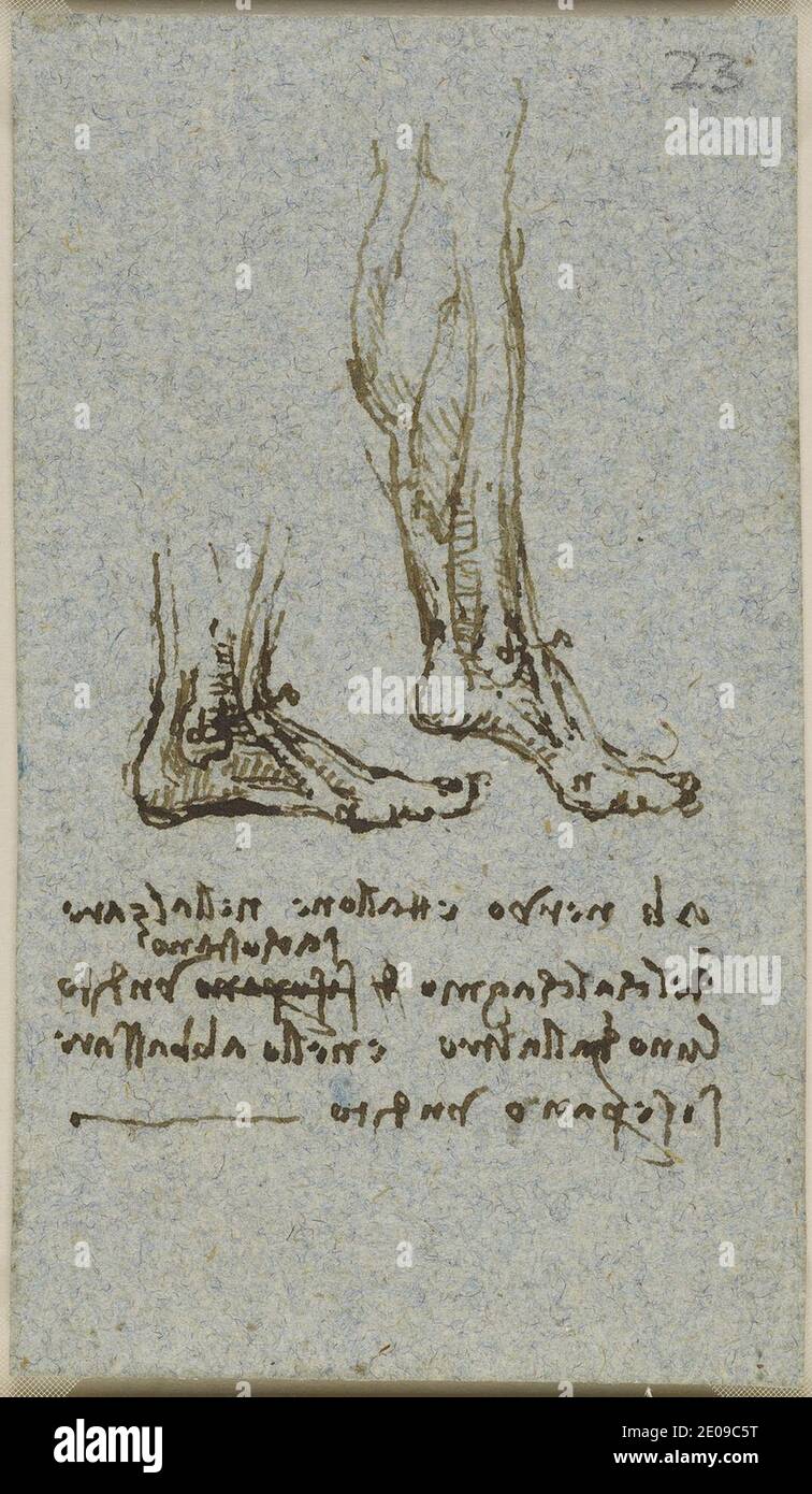 Leonardo da Vinci - Studies of the anatomy of the foot and calf c. 1510 ...