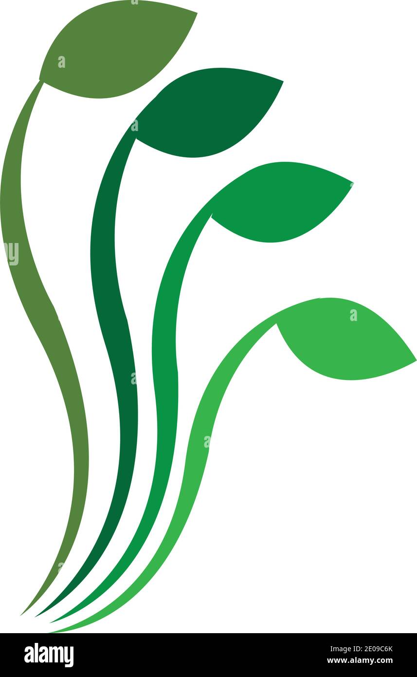 Logos of green Tree leaf ecology nature element vector Stock Vector ...