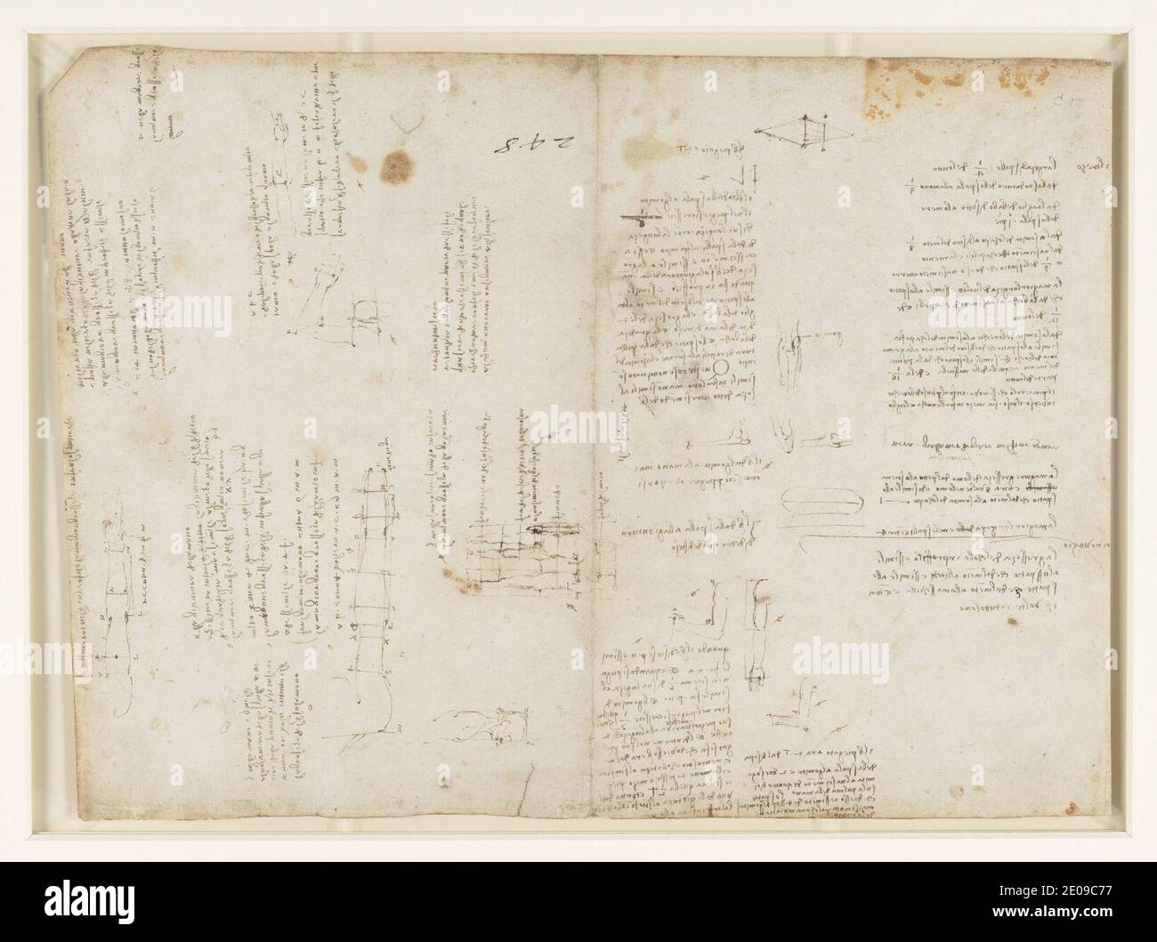 Leonardo da Vinci - Recto Studies of human proportion Stock Photo - Alamy