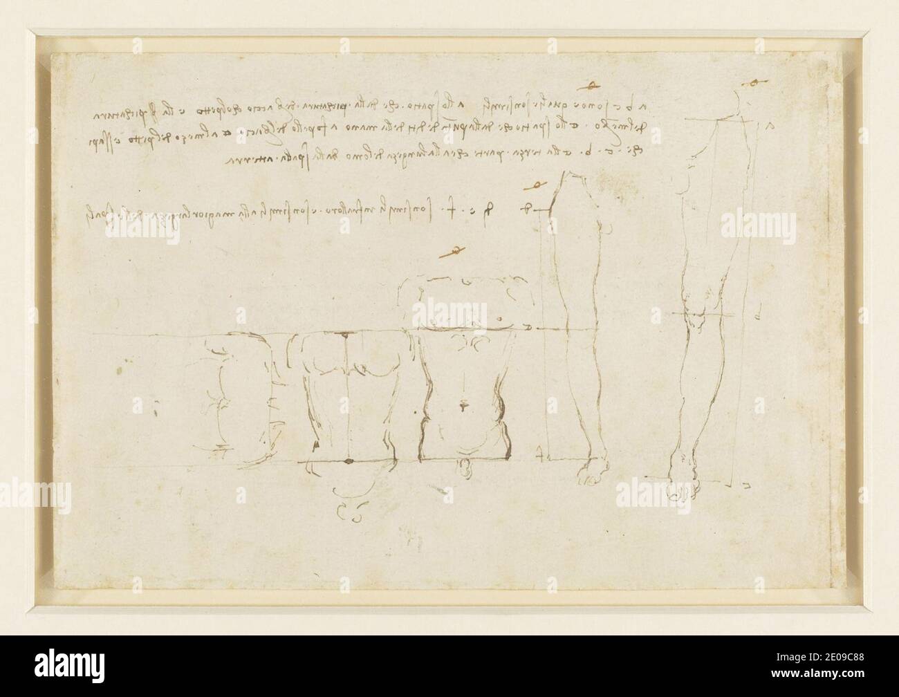 Human proportion hi-res stock photography and images - Alamy