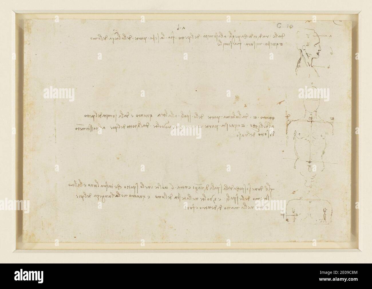 Human proportion hi-res stock photography and images - Alamy