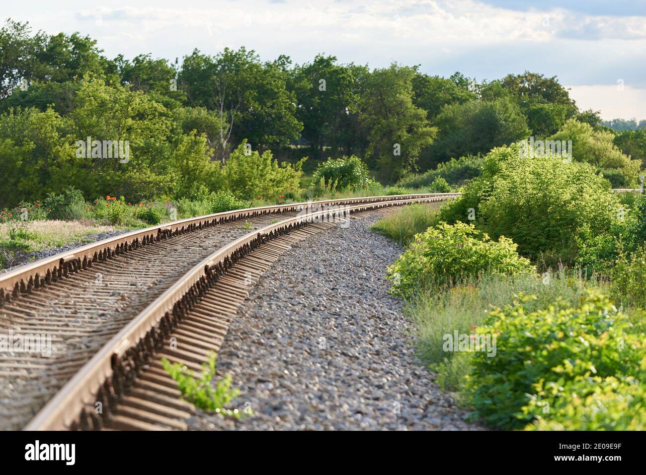 Railroad turns among trees hi-res stock photography and images - Alamy