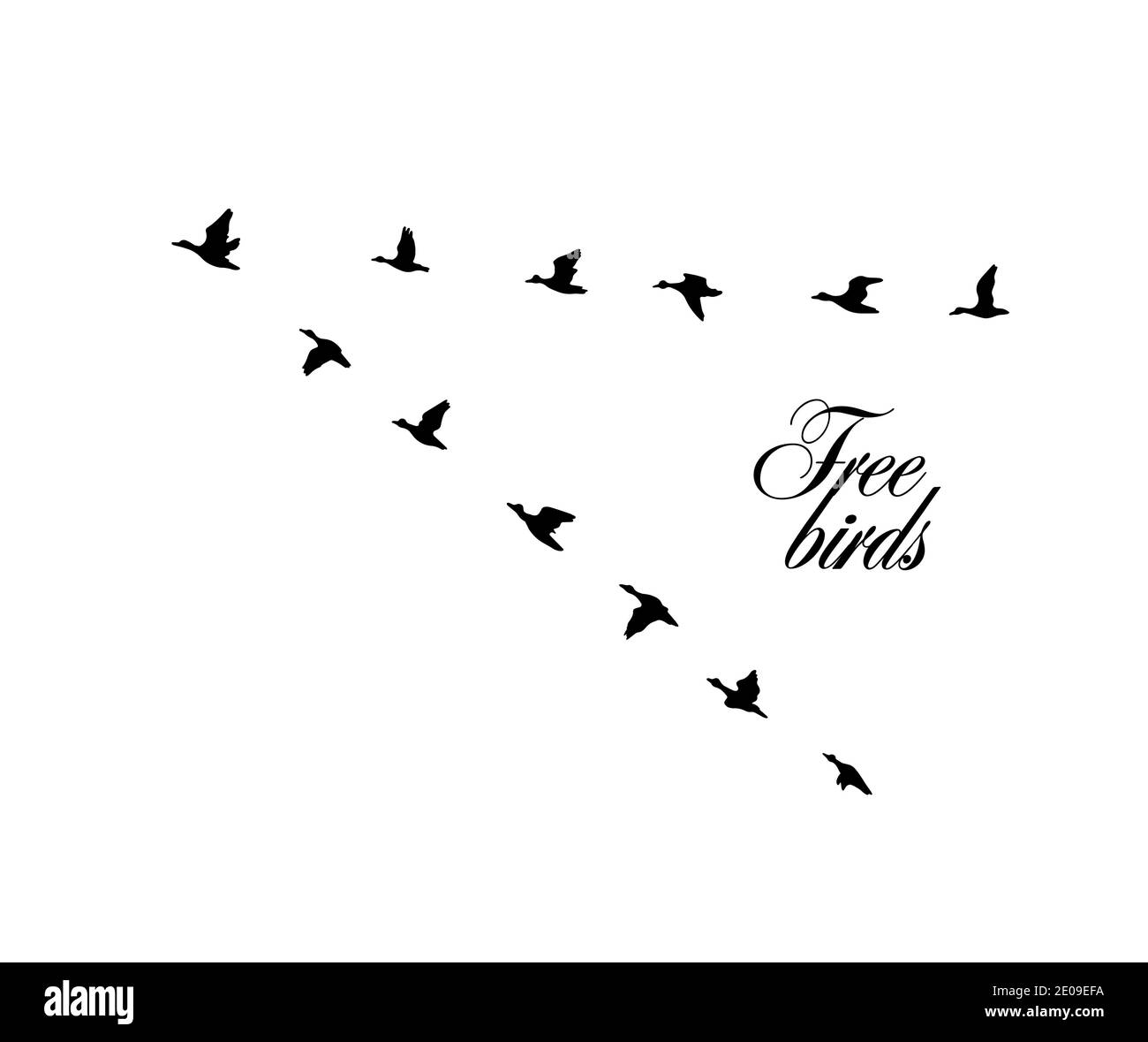 ducks fly South,vector illustration Stock Vector Image & Art - Alamy