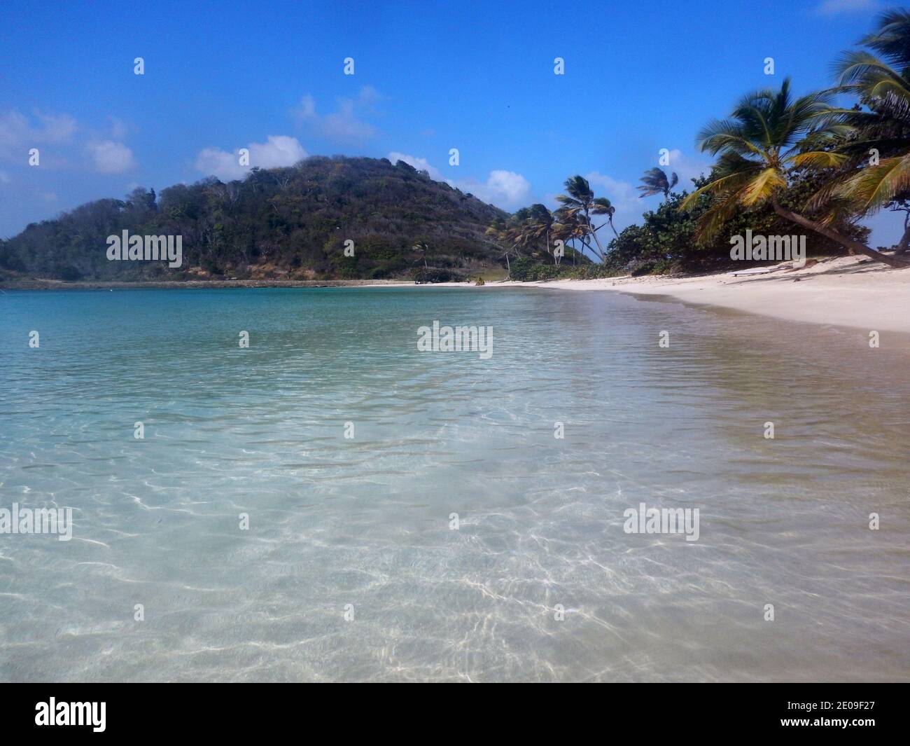 Mayreau island hi-res stock photography and images - Alamy