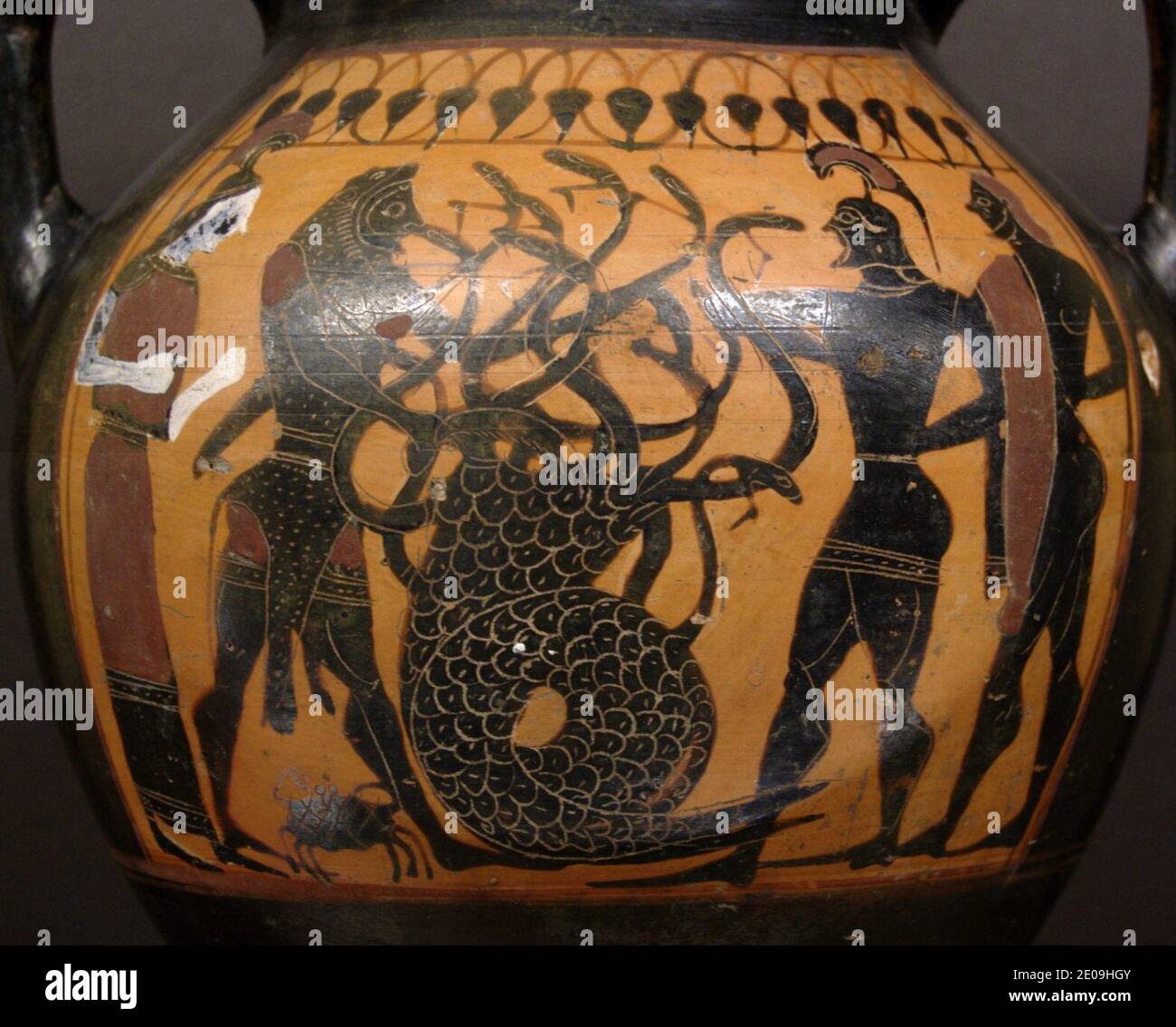 Lernaean hydra hi-res stock photography and images - Alamy