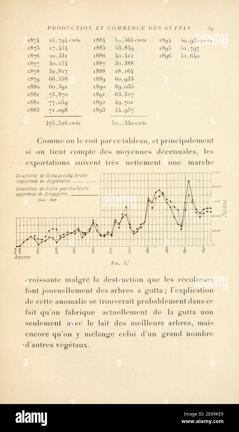 The gutta percha tree hi-res stock photography and images - Alamy