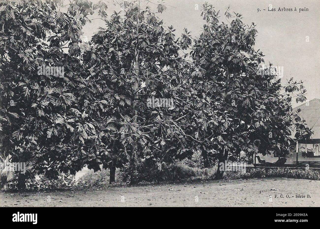 Les pain hi-res stock photography and images - Alamy