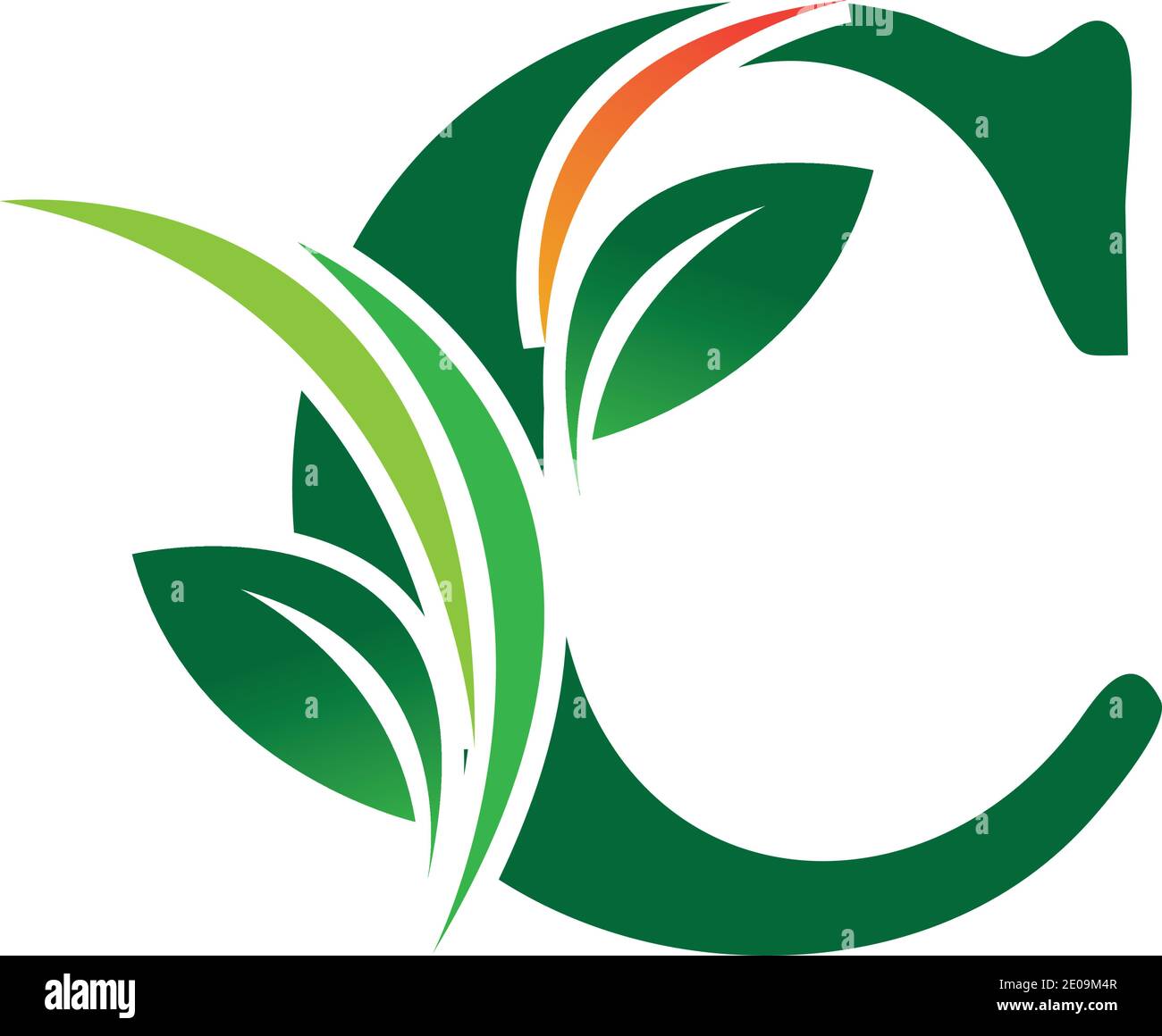 Letter C In Nature