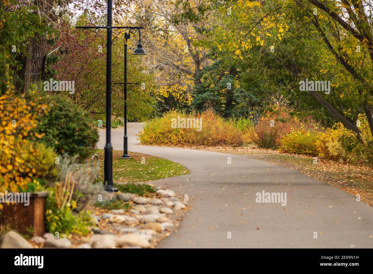 Prince's Island Park autumn foliage scenery in downtown Calgary ...