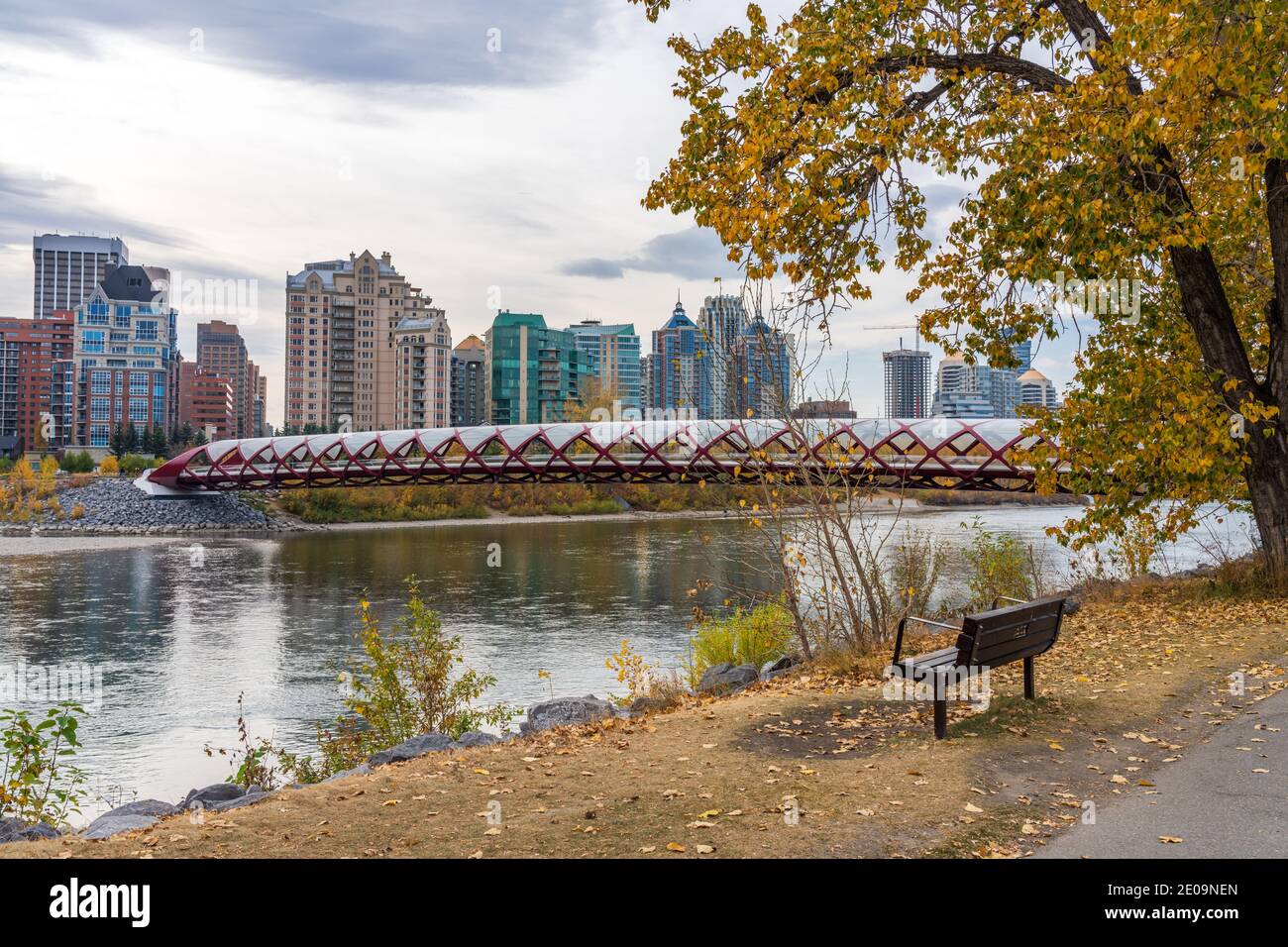 Prince's Island Park Peace bridge. Autumn foliage scenery in downtown Calgary Bow river bank ...