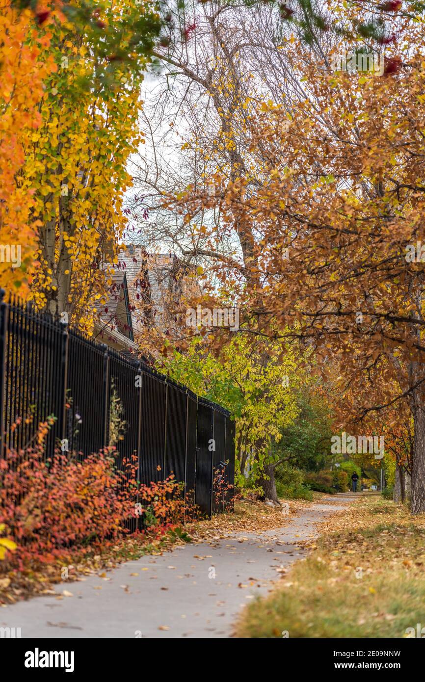Residential walk hi-res stock photography and images - Alamy