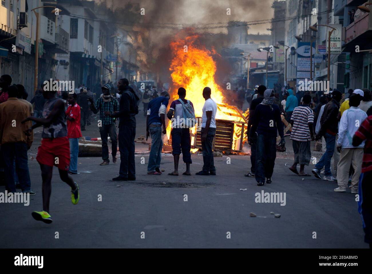 2012 cat and mouse hi-res stock photography and images - Alamy