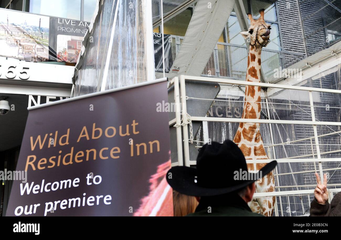 12 foot tall hi-res stock photography and images - Alamy