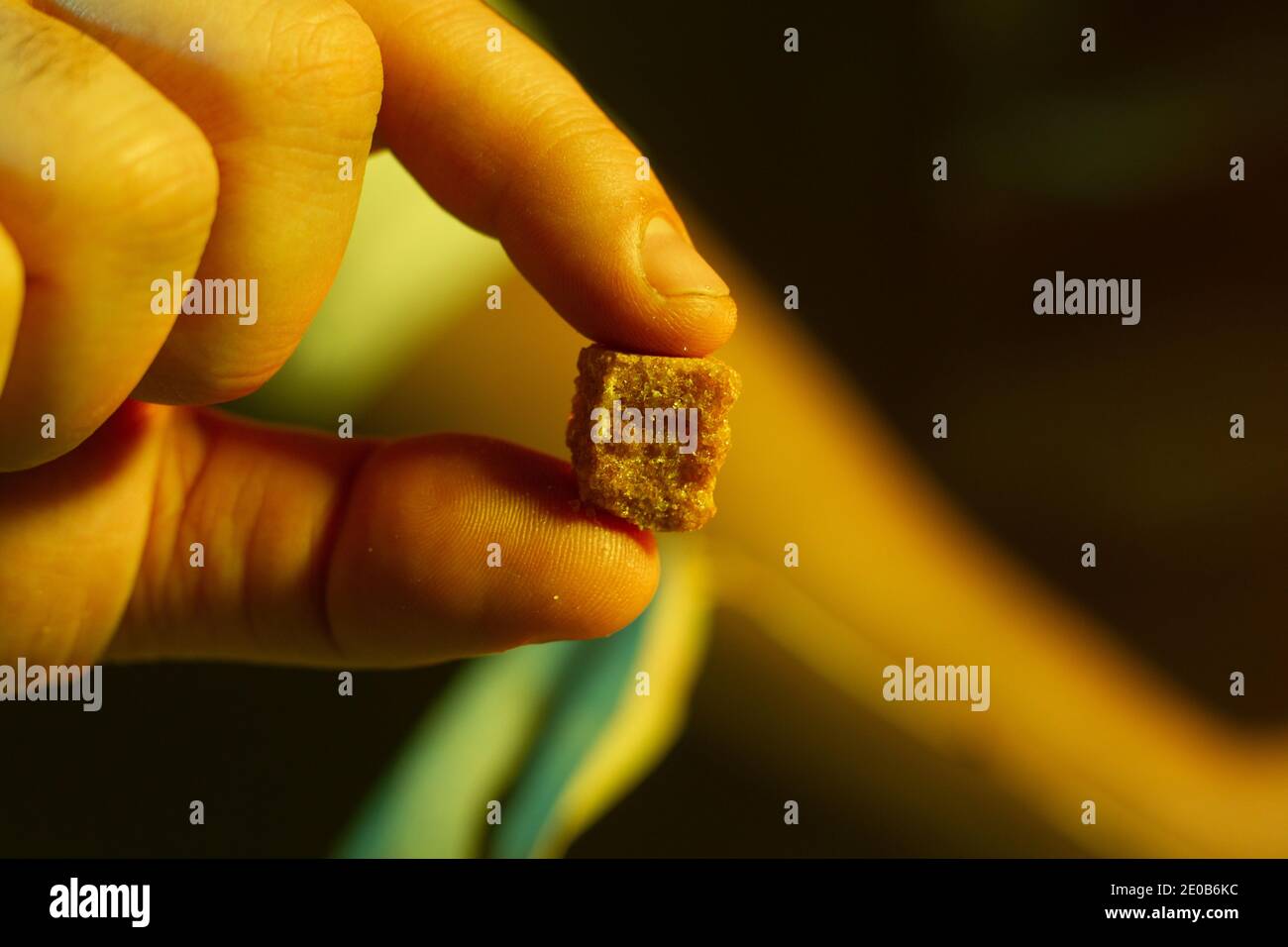 Sugar cube man hand hi-res stock photography and images - Alamy