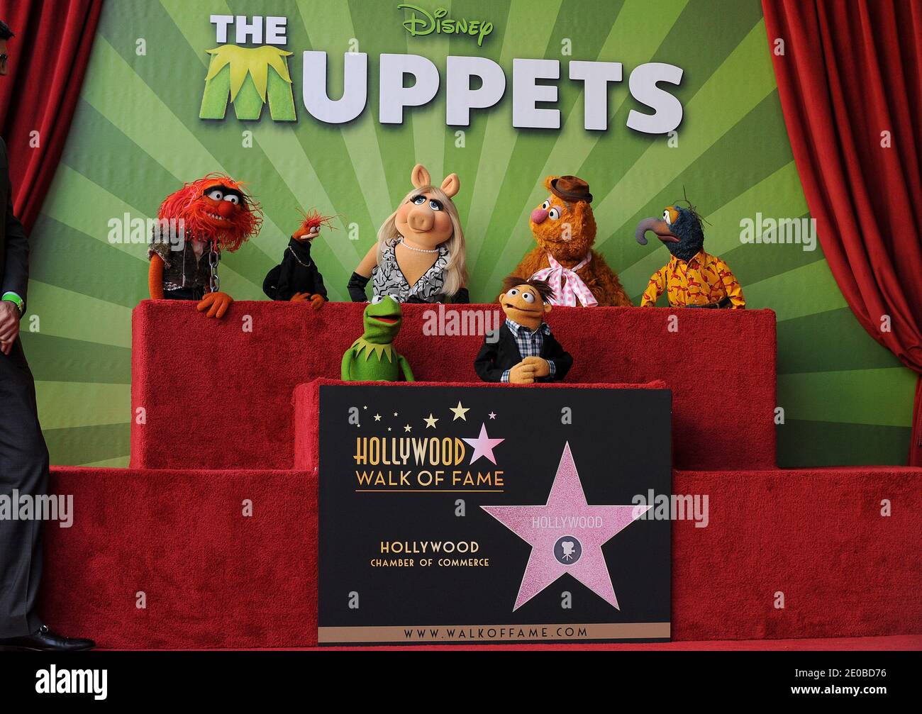 The Muppets are honored with a star on the Hollywood Walk of Fame in ...