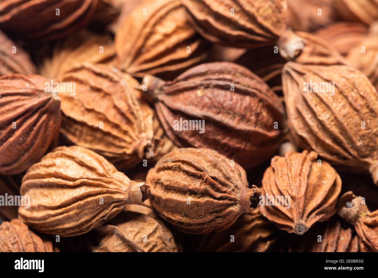 Lour hi-res stock photography and images - Alamy