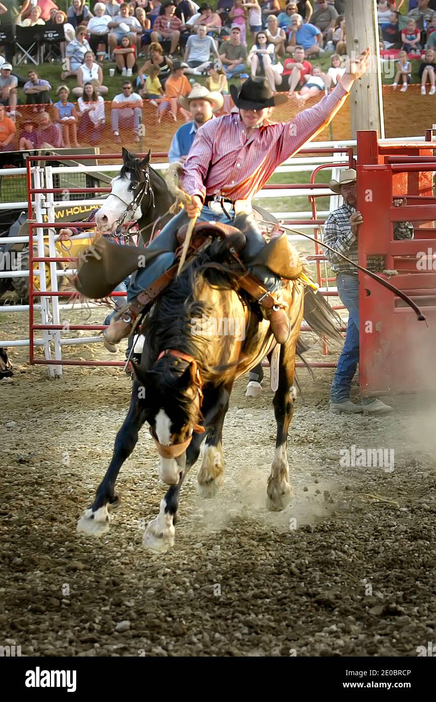 Bronco riding hi-res stock photography and images - Alamy