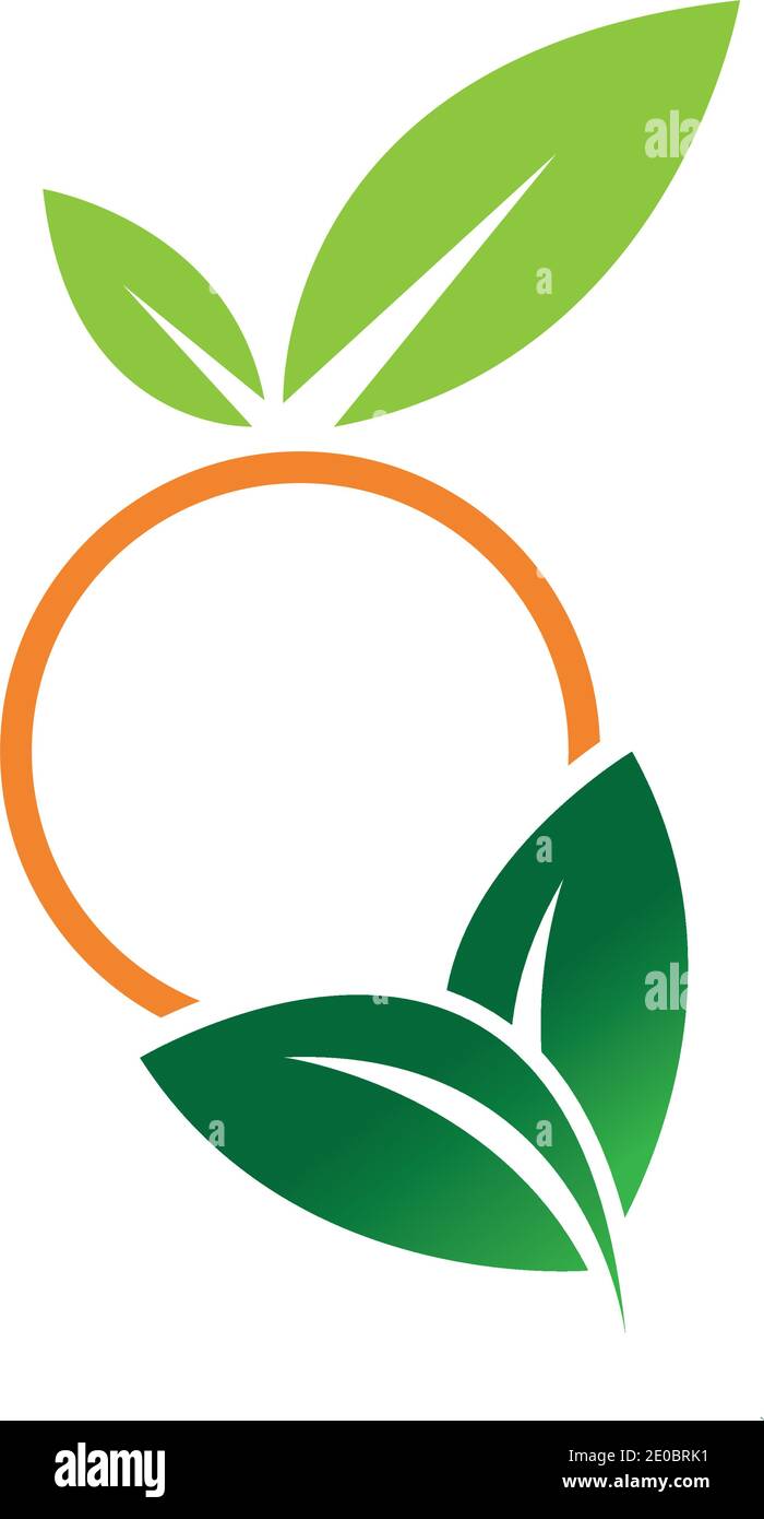 Orange logo design Vector icon illustration design Stock Vector Image ...
