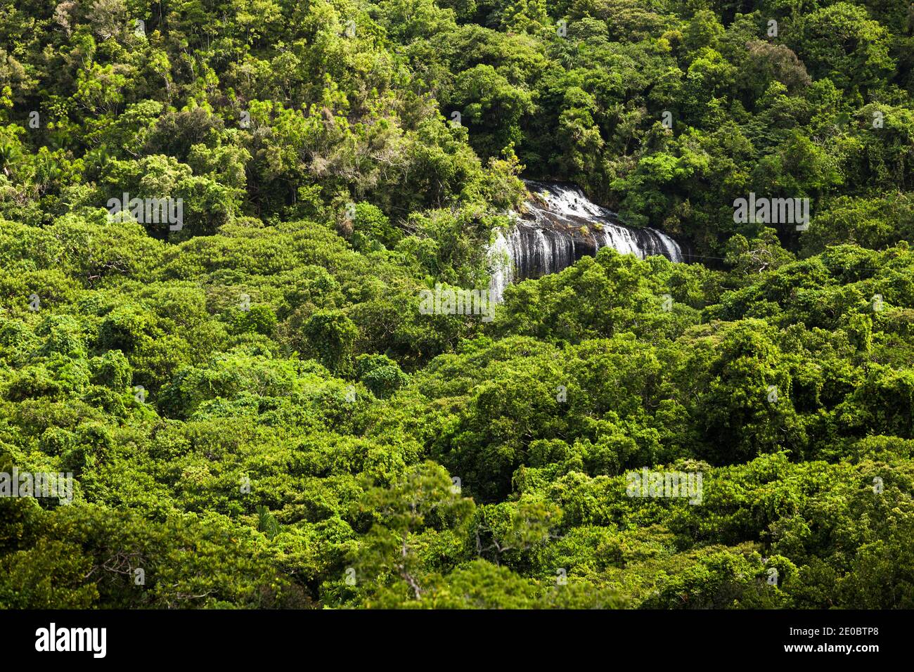 Distant view of Ngardmau Waterfall and deep jngule of rain forest ...