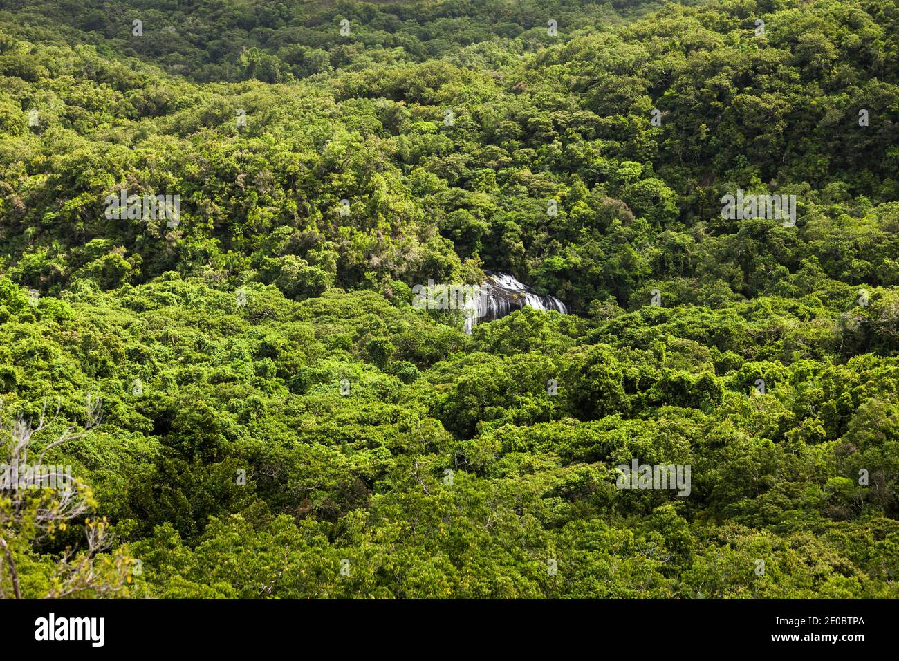 Ngardmau waterfall hi-res stock photography and images - Alamy
